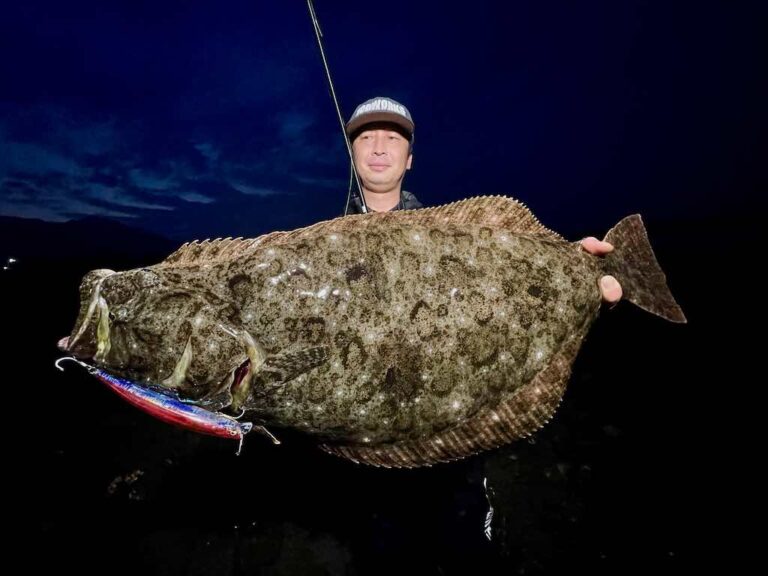 GAMADASヒラメ – 株式会社 マルジン